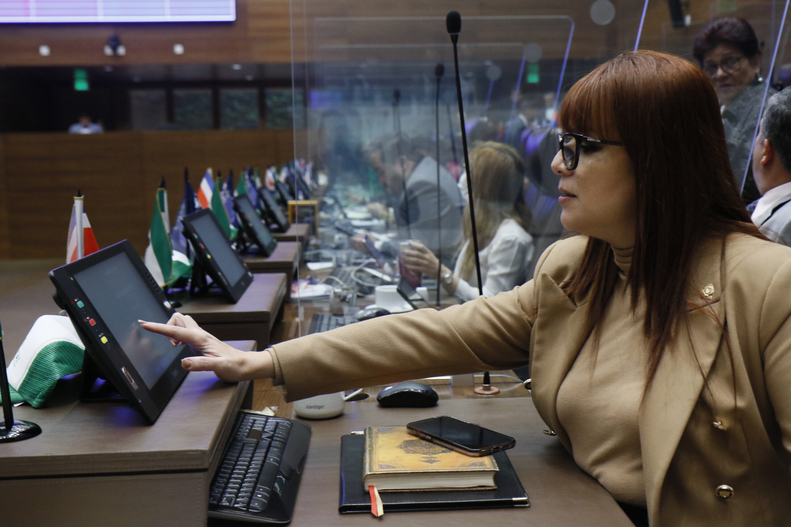 ¡aprobado Eurobonos Diputados Dan El Sí Por Unanimidad En Segundo