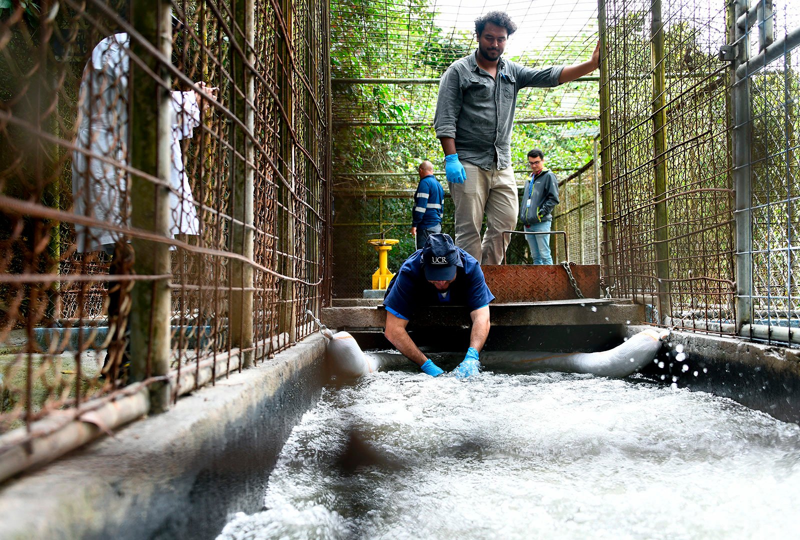 ¿Qué es el xileno? Expertos explican propiedades del químico encontrado ...