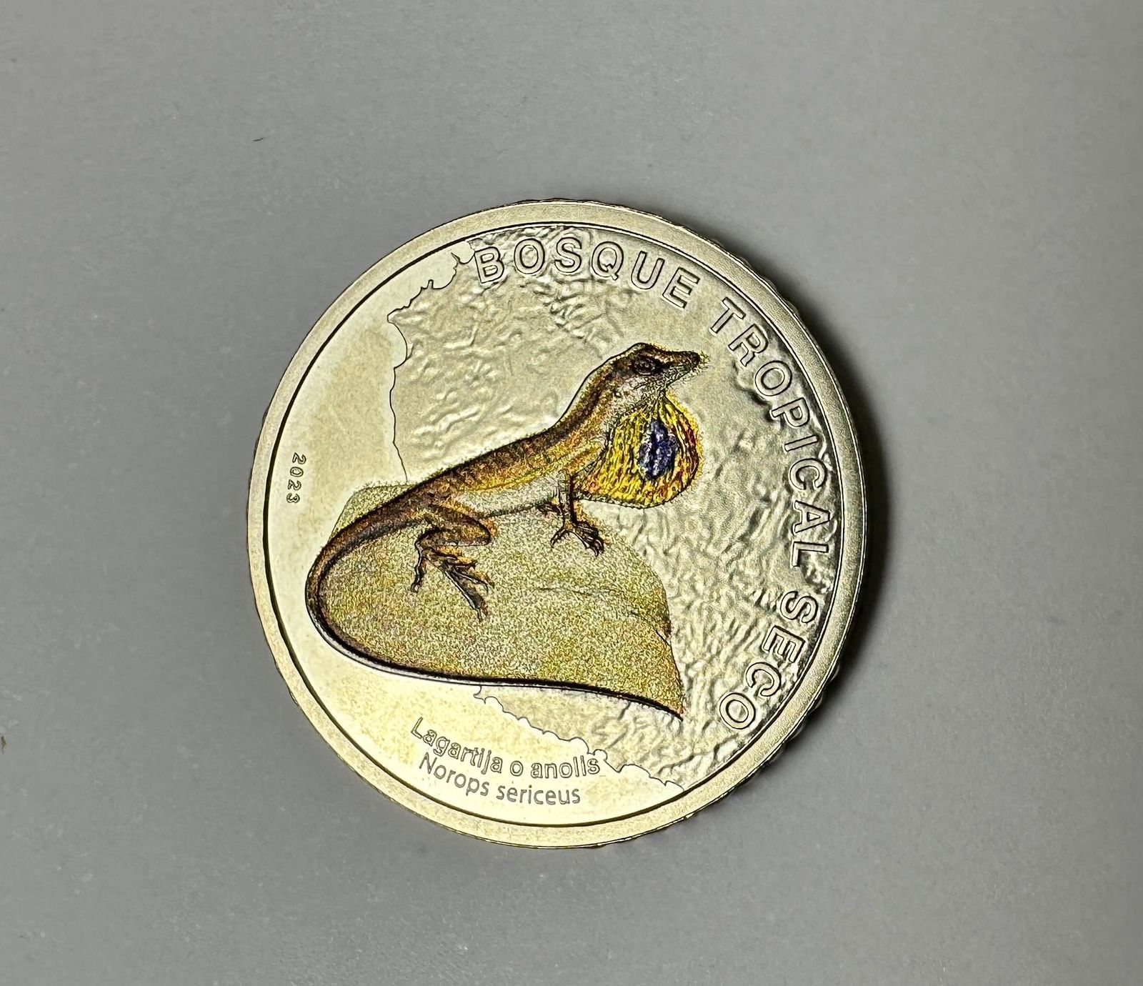 BCR sorprende con nueva moneda de colección: la lagartija del bosque ...